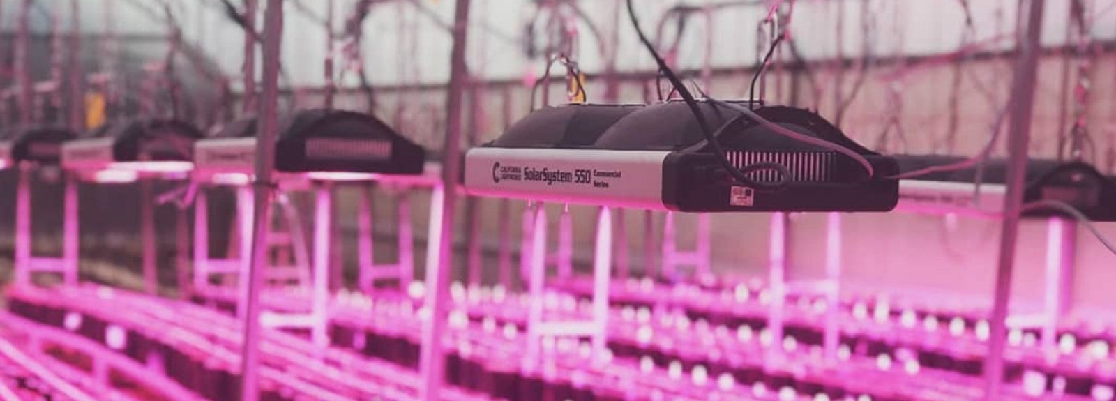 Commercial LED Grow Lights with Spectrum Control | CA Lightworks ...