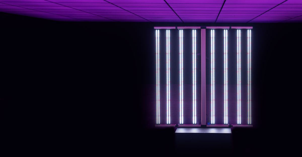 Made in USA LED Grow Lights | California LightWorks